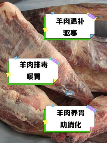 羊肉补什么功效与作用_冬天吃羊肉有什么好处-第2张图片-山城妙识 羊肉补什么功效与作用_冬天吃羊肉有什么好处-第2张图片-山城妙识