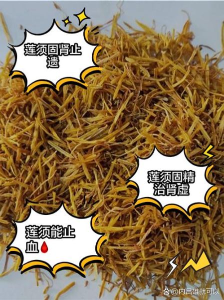 莲须的功效与作用_莲须泡水喝的禁忌-第2张图片-山城妙识 莲须的功效与作用_莲须泡水喝的禁忌-第2张图片-山城妙识