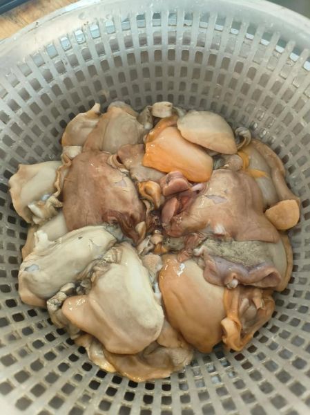 家常河蚌汤怎么做好吃_河蚌汤去腥技巧-第3张图片-山城妙识