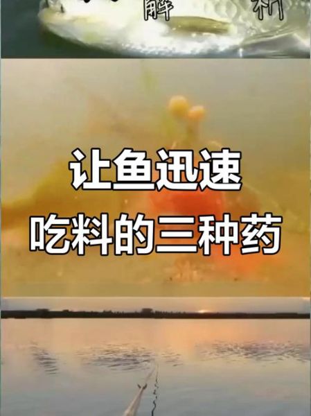 让鱼开口特效西药有哪些_怎么用才有效-第3张图片-山城妙识