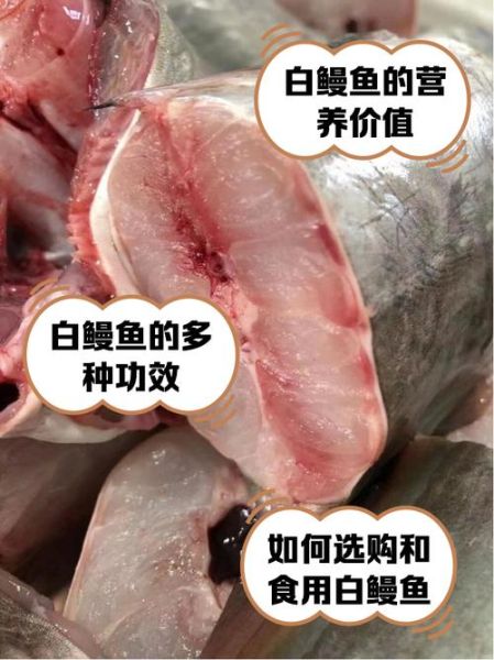 白鳗鱼怎么做好吃_白鳗鱼的家常做法-第1张图片-山城妙识 白鳗鱼怎么做好吃_白鳗鱼的家常做法-第1张图片-山城妙识