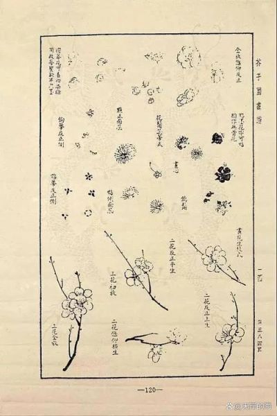 芥子园画谱适合初学者吗_芥子园画谱怎么学-第1张图片-山城妙识