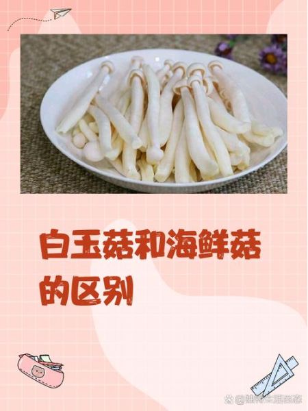白玉菇图片大全_白玉菇和海鲜菇的区别-第1张图片-山城妙识
