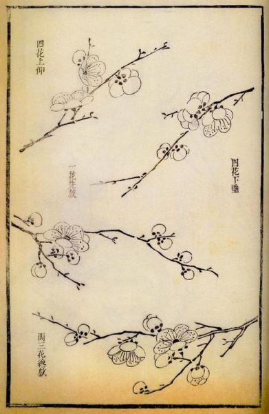 芥子园画谱适合初学者吗_芥子园画谱怎么学-第2张图片-山城妙识