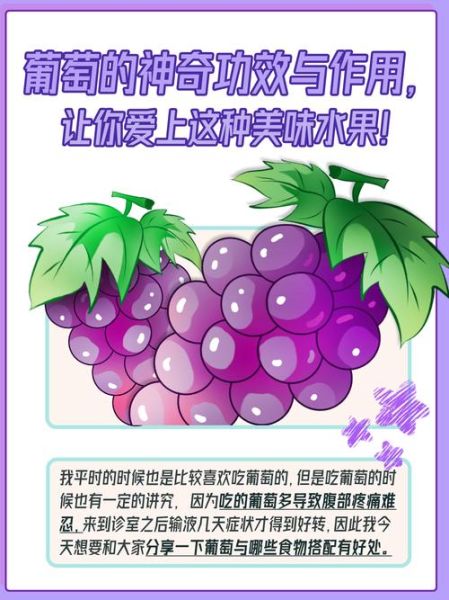 葡萄的功效与作用是什么_吃葡萄有哪些好处-第3张图片-山城妙识