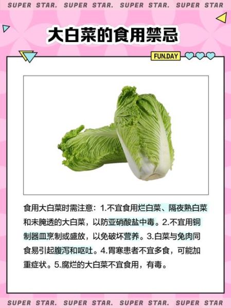 大白菜的功效与作用_大白菜的禁忌有哪些-第2张图片-山城妙识