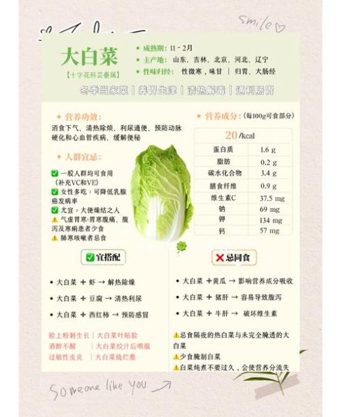 大白菜的功效与作用_大白菜的禁忌有哪些-第1张图片-山城妙识