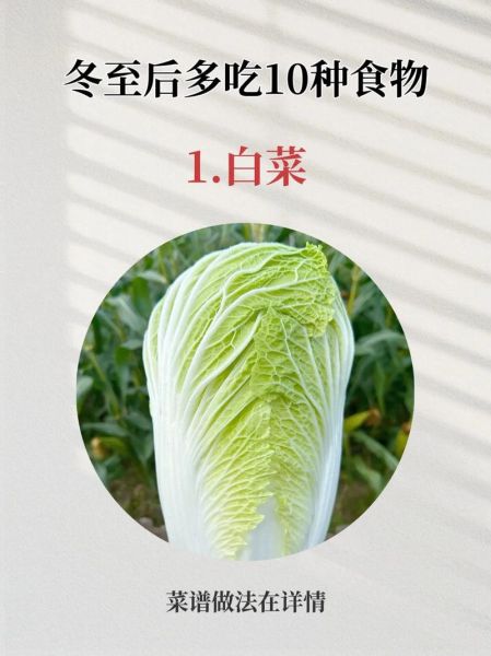 大白菜的功效与作用_大白菜的禁忌有哪些-第3张图片-山城妙识
