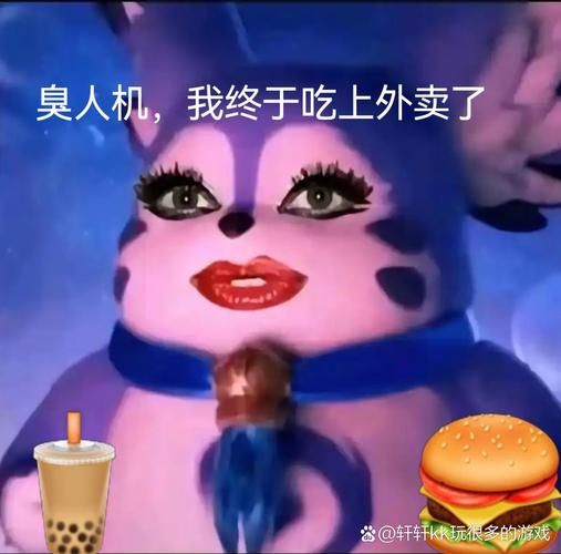 汉堡包是什么梗_汉堡包梗出处-第2张图片-山城妙识