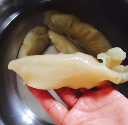 花胶怎么泡发_花胶炖多久才软糯-第3张图片-山城妙识