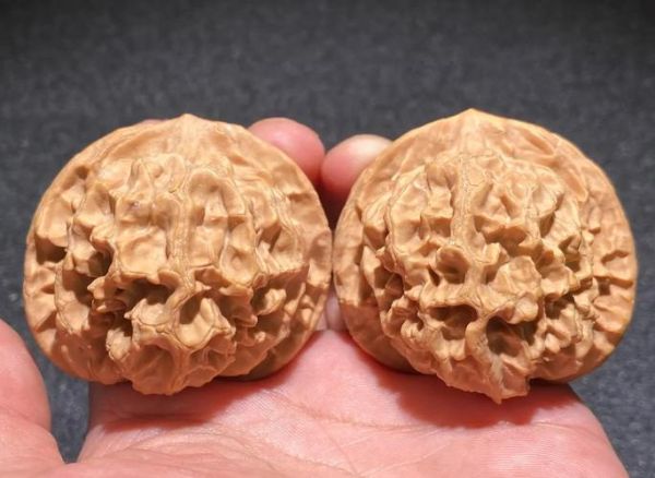 核桃青皮中毒症状_核桃青皮怎么处理-第2张图片-山城妙识