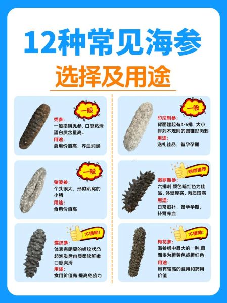 海参品种有哪些_如何挑选海参-第3张图片-山城妙识