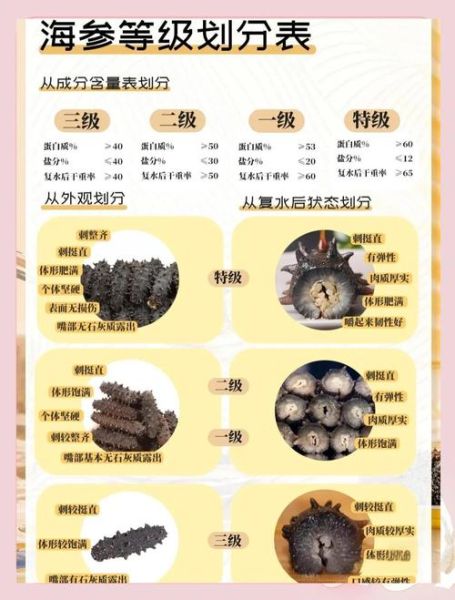 海参品种有哪些_如何挑选海参-第2张图片-山城妙识