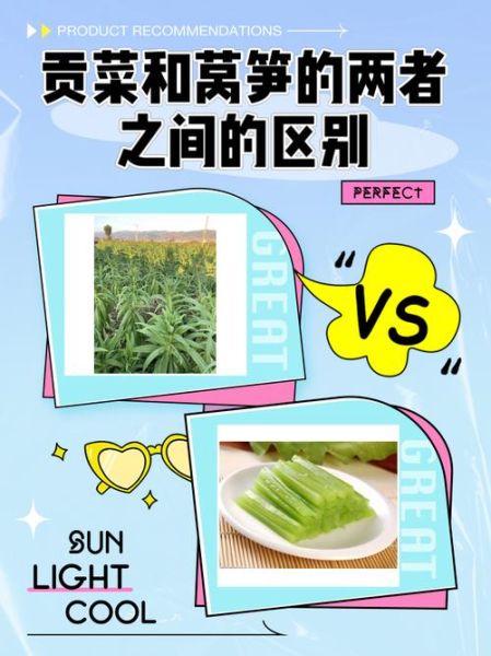 贡菜长什么样子_贡菜和莴笋的区别-第3张图片-山城妙识