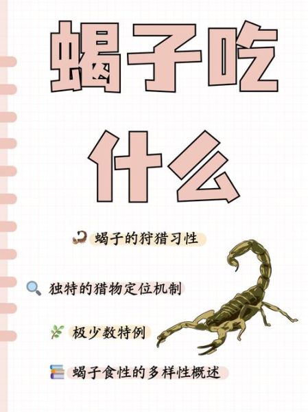 蝎子吃什么长得快_蝎子吃什么食物长得快-第1张图片-山城妙识