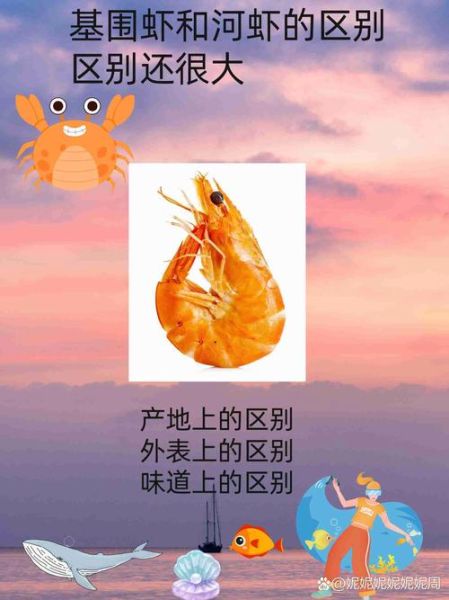 草虾和基围虾的区别_哪个更好吃-第3张图片-山城妙识 草虾和基围虾的区别_哪个更好吃-第3张图片-山城妙识