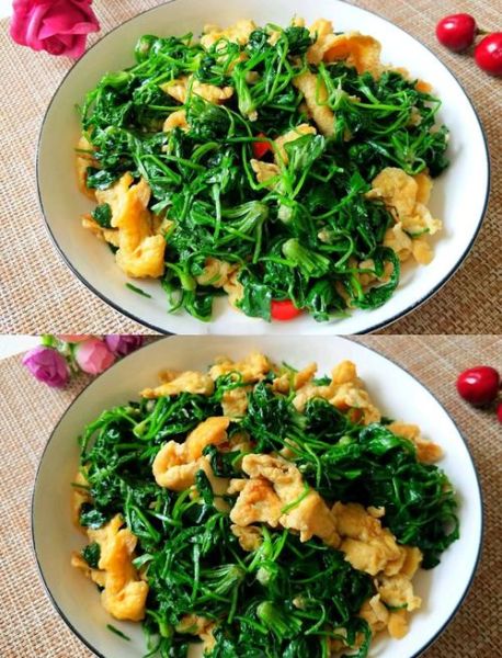 荠菜炒鸡蛋的营养价值_荠菜炒鸡蛋的功效与作用-第1张图片-山城妙识