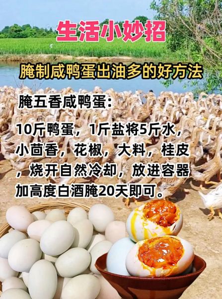 腌制咸鸭蛋的最佳方法_咸鸭蛋出油窍门-第1张图片-山城妙识