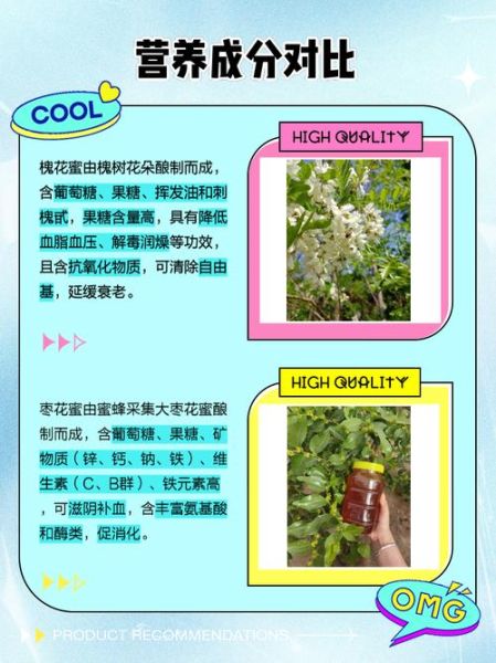 枣花蜂蜜好还是槐花蜂蜜好_哪个更适合你-第2张图片-山城妙识