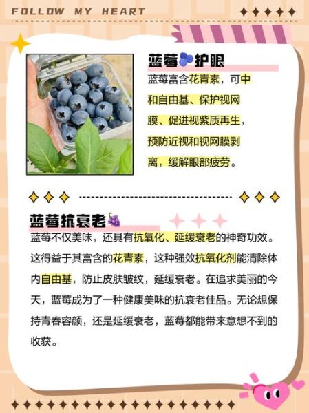 蓝莓的功效与作用_蓝莓怎么吃效果最好-第2张图片-山城妙识