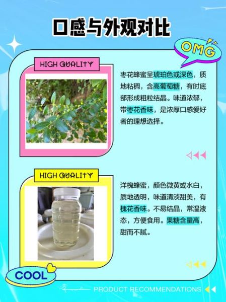 枣花蜂蜜好还是槐花蜂蜜好_哪个更适合你-第1张图片-山城妙识