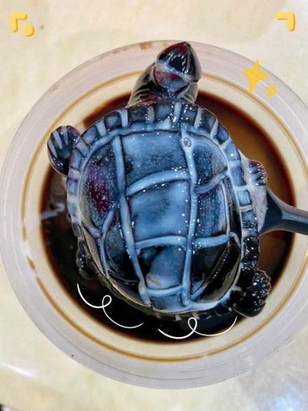 龟苓膏为什么残忍_龟苓膏制作真相-第1张图片-山城妙识