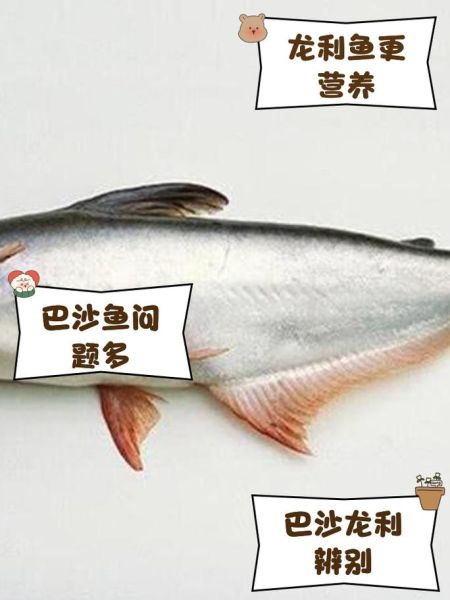 越南巴沙鱼有什么危害_越南巴沙鱼吃了会致癌吗-第1张图片-山城妙识 越南巴沙鱼有什么危害_越南巴沙鱼吃了会致癌吗-第1张图片-山城妙识