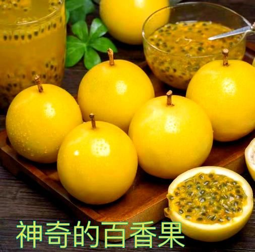 热带水果图片大全大图_热带水果有哪些种类-第2张图片-山城妙识