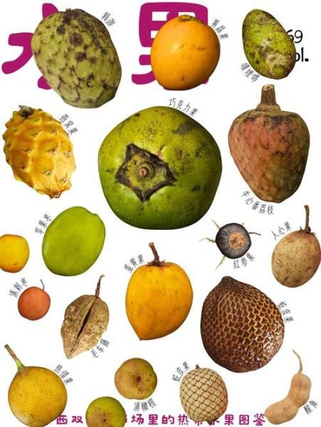 热带水果图片大全大图_热带水果有哪些种类-第1张图片-山城妙识