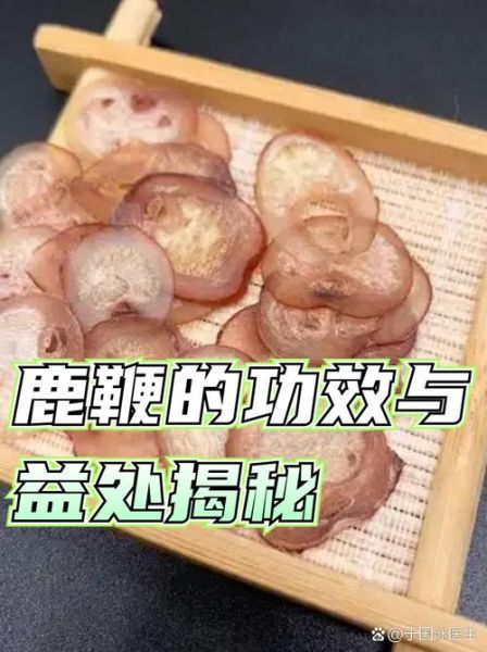 鹿鞭和鹿茸哪个壮阳好_男人吃哪个见效快-第1张图片-山城妙识 鹿鞭和鹿茸哪个壮阳好_男人吃哪个见效快-第1张图片-山城妙识