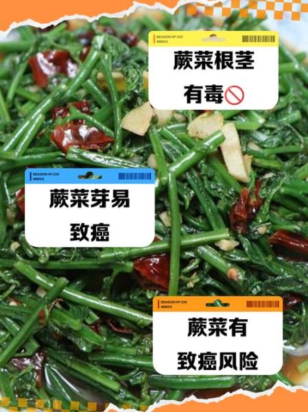 蕨菜致癌是真的吗_要少吃吗-第1张图片-山城妙识 蕨菜致癌是真的吗_要少吃吗-第1张图片-山城妙识
