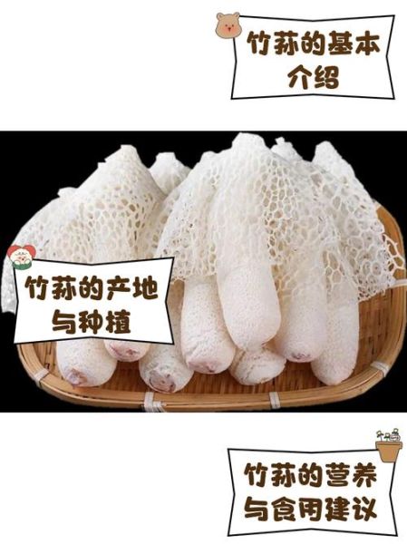 竹荪菌盖能吃吗_竹荪菌盖怎么处理-第2张图片-山城妙识 竹荪菌盖能吃吗_竹荪菌盖怎么处理-第2张图片-山城妙识