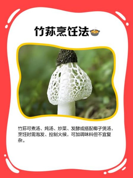 竹荪菌盖能吃吗_竹荪菌盖怎么处理-第3张图片-山城妙识 竹荪菌盖能吃吗_竹荪菌盖怎么处理-第3张图片-山城妙识