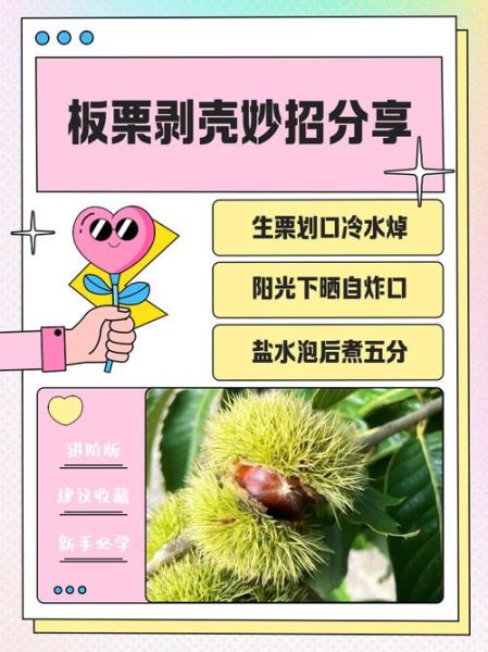 剥板栗的好方法_生板栗怎么去皮最快-第1张图片-山城妙识 剥板栗的好方法_生板栗怎么去皮最快-第1张图片-山城妙识