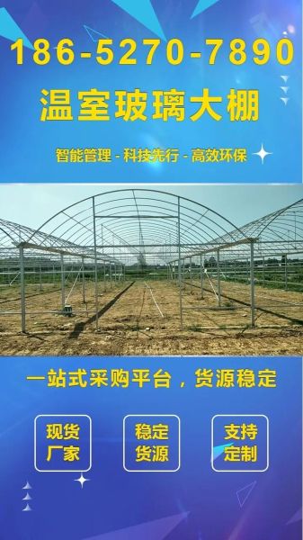 蔬菜大棚造价多少钱_蔬菜大棚利润怎么样-第1张图片-山城妙识