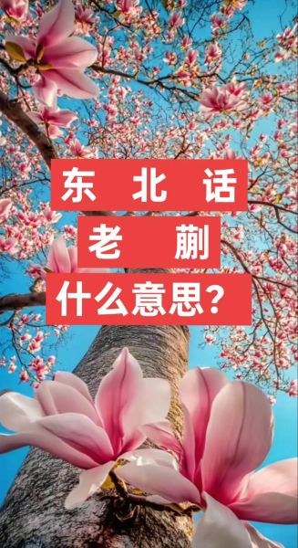 老鸹撒怎么写_老鸹撒是哪里的方言-第3张图片-山城妙识