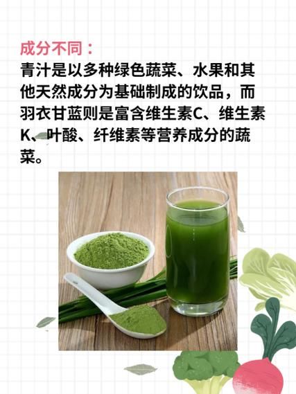 高丽菜和甘蓝的区别_哪个更适合减肥-第3张图片-山城妙识