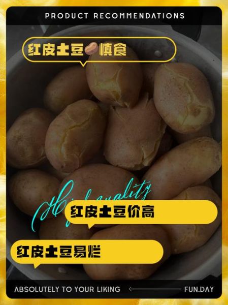 红皮土豆的危害_红皮土豆真的有毒吗-第1张图片-山城妙识