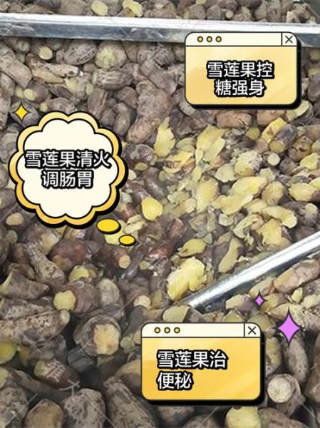 雪莲果怎么吃好吃_雪莲果的正确吃法-第2张图片-山城妙识