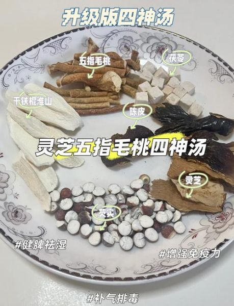 灵芝水怎么煮_灵芝水正确煮法-第1张图片-山城妙识