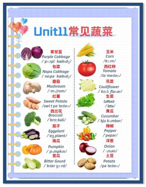 蔬菜英语怎么读音_蔬菜英文发音怎么写-第3张图片-山城妙识
