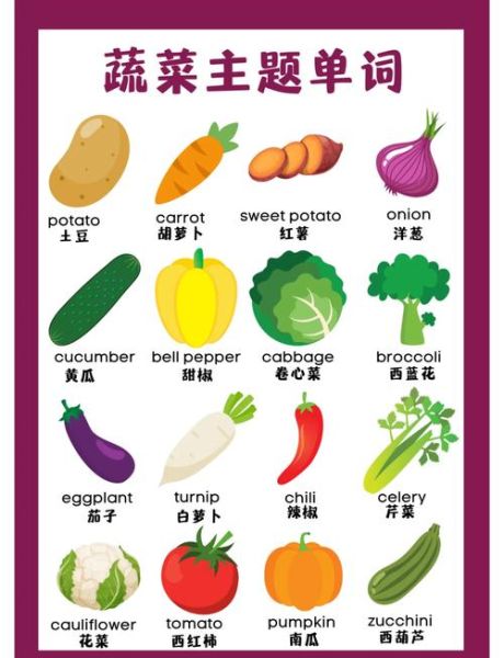 蔬菜英语怎么读音_蔬菜英文发音怎么写-第1张图片-山城妙识