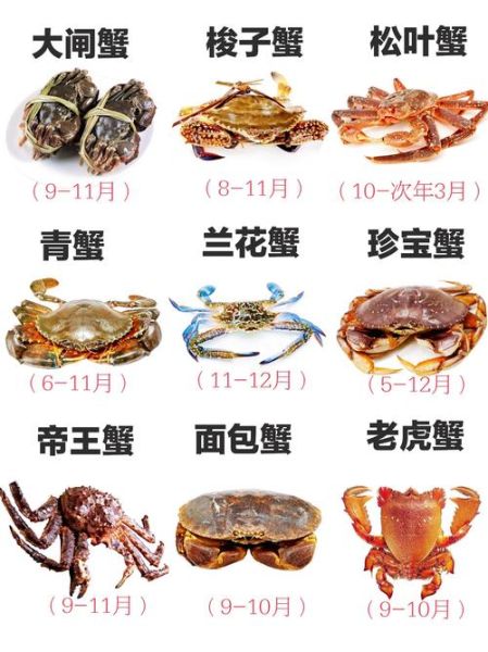 螃蟹种类图片大全_如何区分常见蟹类-第1张图片-山城妙识