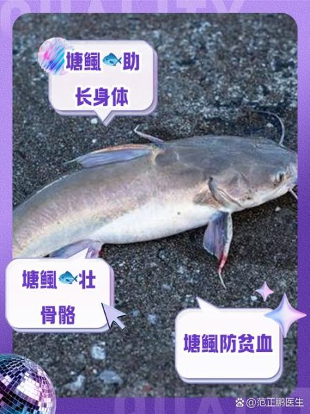 塘鲺的功效与作用_塘鲺鱼怎么吃最补肾-第1张图片-山城妙识