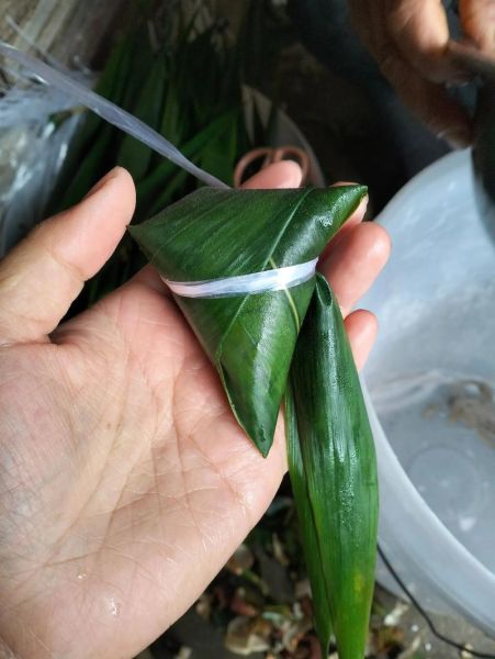 粽叶飘香怎么做_粽叶飘香的做法步骤-第1张图片-山城妙识
