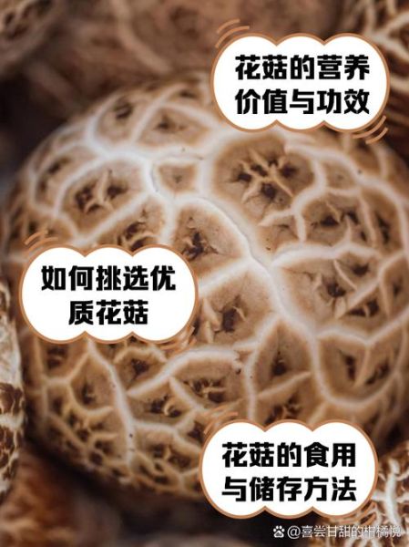 花菇癌症患者不能吃_为什么不能吃-第2张图片-山城妙识 花菇癌症患者不能吃_为什么不能吃-第2张图片-山城妙识