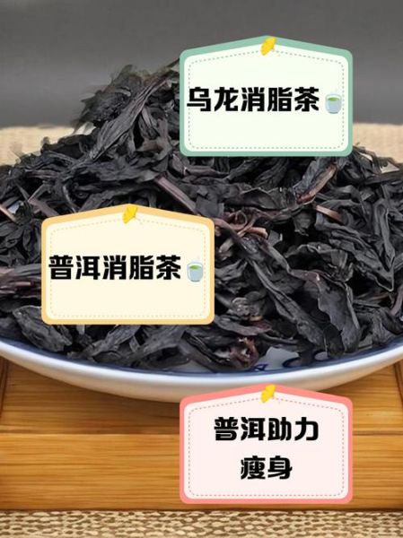 什么茶减肥最快_绿茶乌龙茶普洱茶效果对比-第1张图片-山城妙识