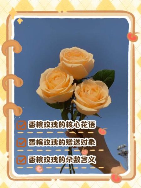 香槟玫瑰花语是什么意思_适合送什么人-第1张图片-山城妙识