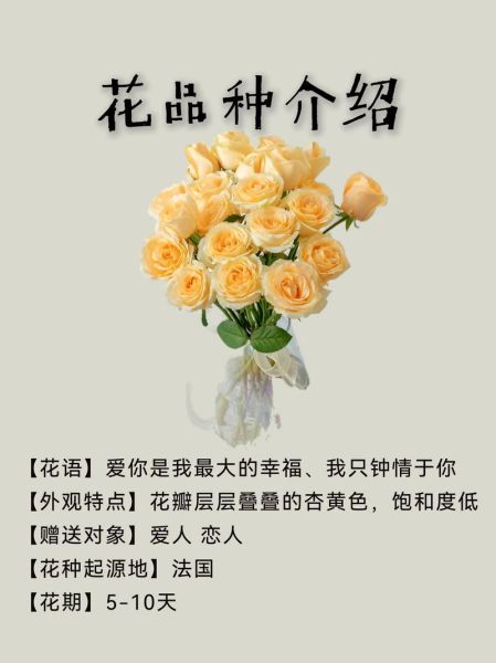 香槟玫瑰花语是什么意思_适合送什么人-第2张图片-山城妙识