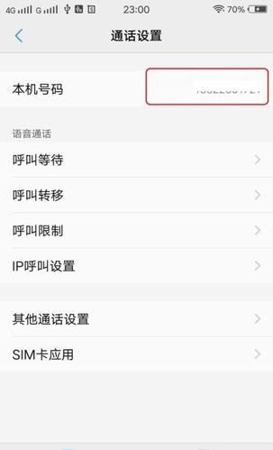 菠萝蜜app入口在哪里_vivo手机怎么打开-第2张图片-山城妙识
